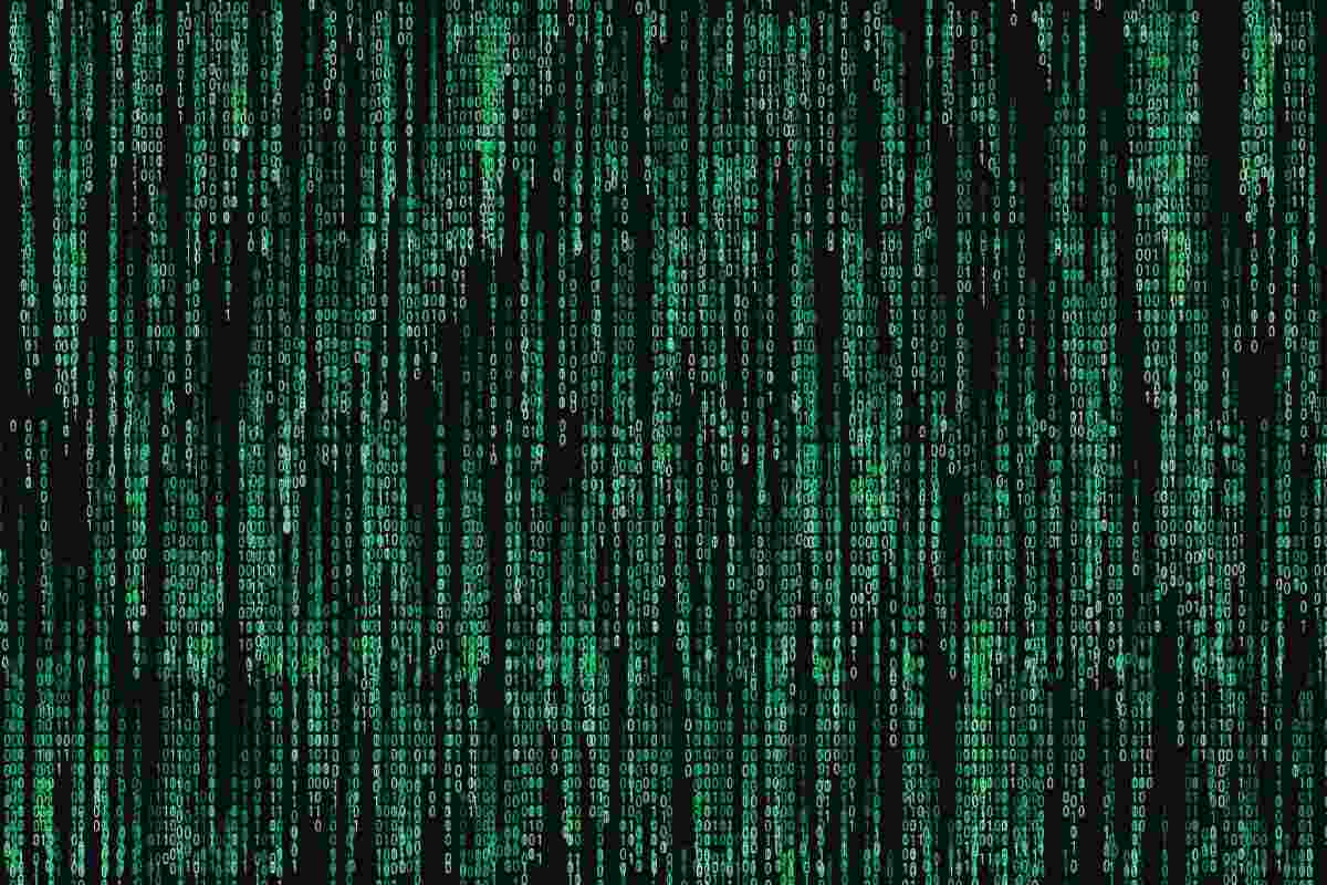 Basic Elements Of Programming Types And More